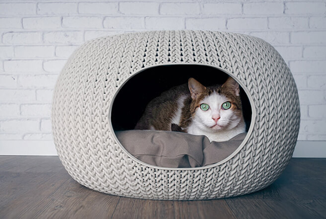 Community | IGA Supermarkets