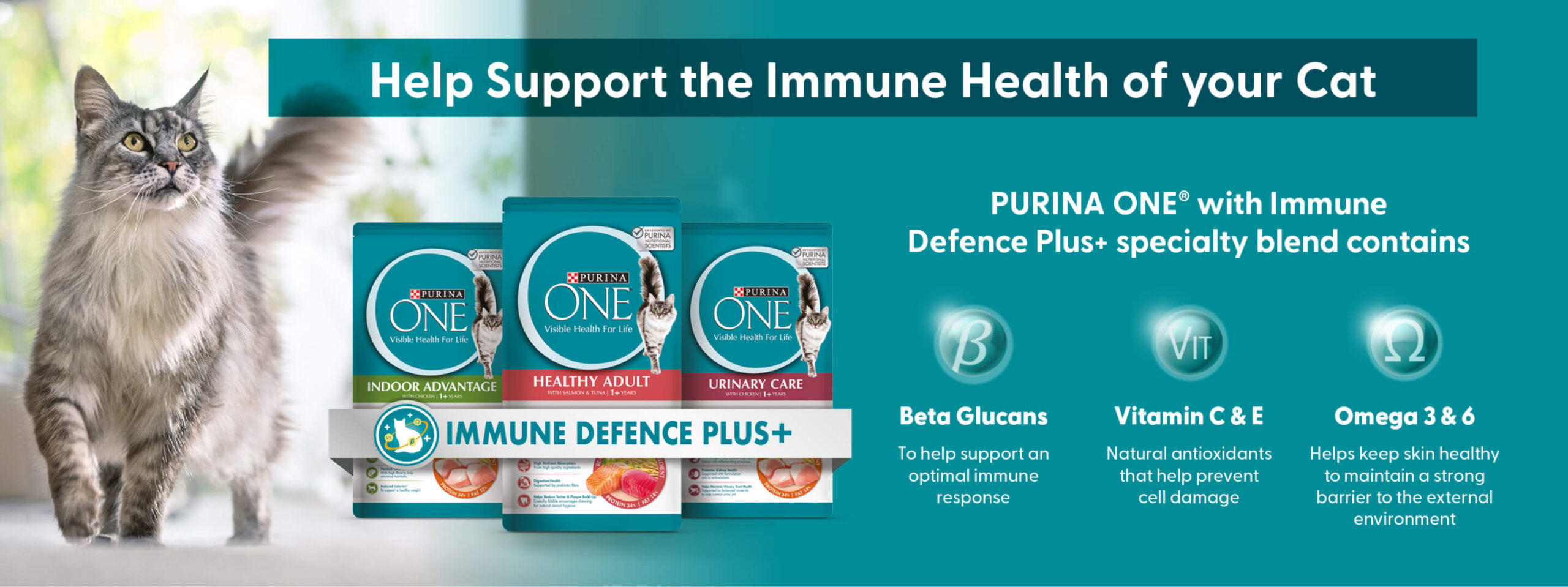 Purina Pet Food | IGA Supermarkets